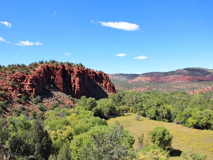 This meadow view proves that sometimes the best paintings aren't hanging in museums – they're growing wild in Sedona.