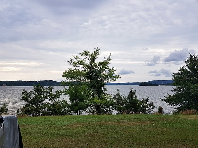Lakeside serenity at its finest. The kind of view that makes you forget passwords, deadlines, and whether you left the garage door open.