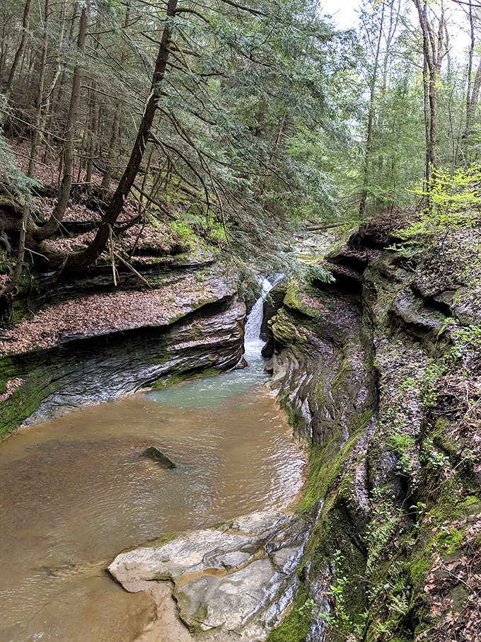 Water and time – the world's most patient sculptors. This gentle cascade has spent millennia carving its path through the rock, creating a scene worth every step of your hike.