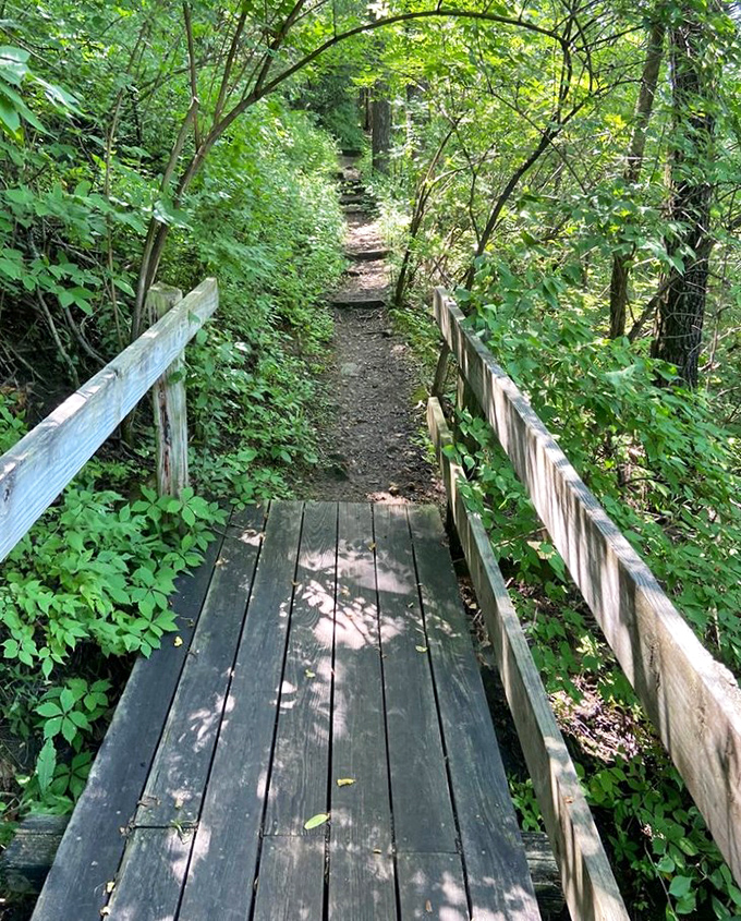 This wooden bridge isn't just crossing a ravine—it's inviting you into a Midwest version of Narnia, complete with dappled sunlight and whispers of adventure.