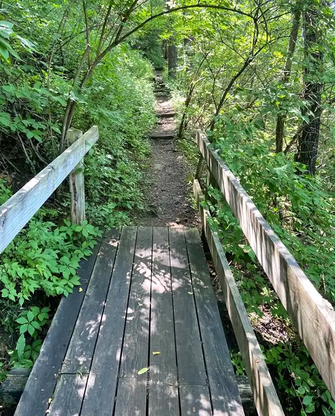 This wooden bridge isn't just crossing a ravine—it's inviting you into a Midwest version of Narnia, complete with dappled sunlight and whispers of adventure.