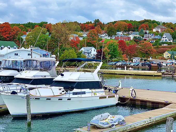 Bayfield's hillside homes seem to be jostling politely for the best view of Lake Superior's endless blue horizon.