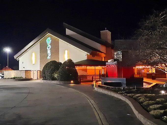 Bonz glows like a Vegas jackpot at night—except here, the real winnings come on a plate!
