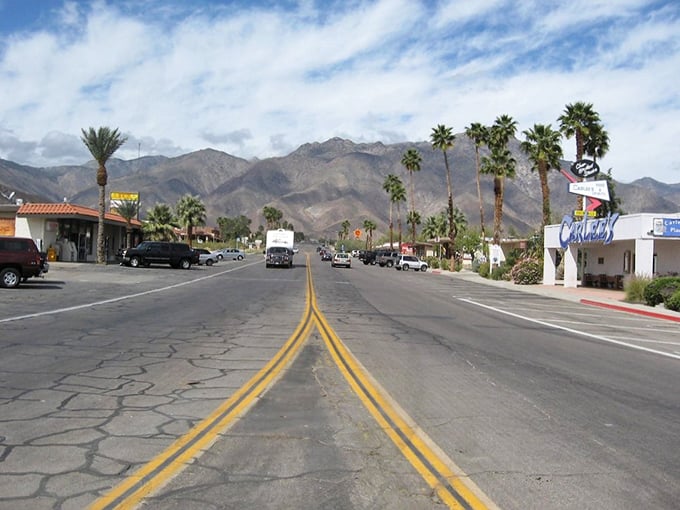 The road to nowhere special—which makes it absolutely perfect. Borrego Springs' palm sentinels stand guard as mountains cradle this desert oasis like protective parents.