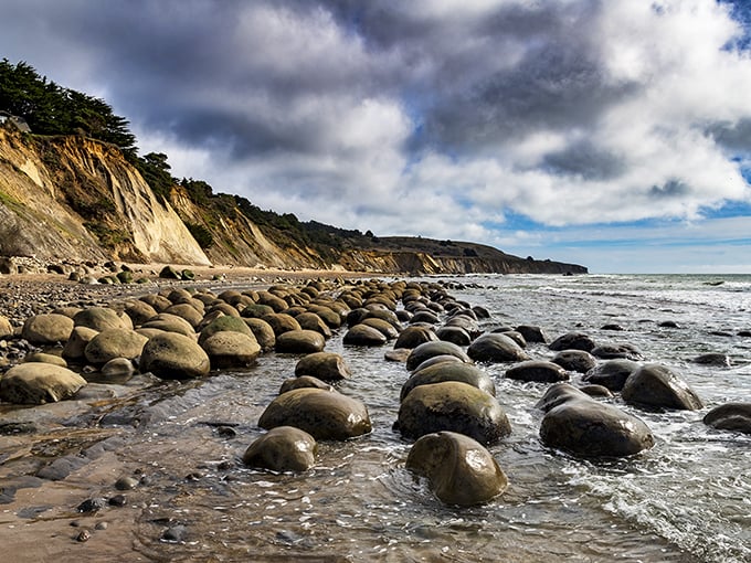 Bowling Ball Beach at low tide—where Mother Nature shows off her quirky side with perfectly round geological masterpieces.