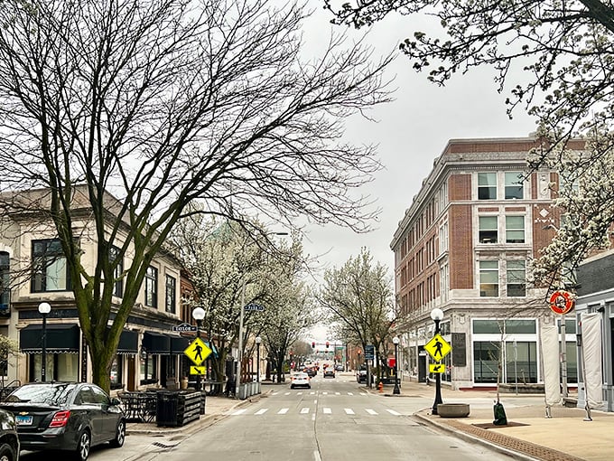 Look at this! A cozy downtown street where coffee aromas mix with blooming trees—it’s like spring decided to throw a block party.