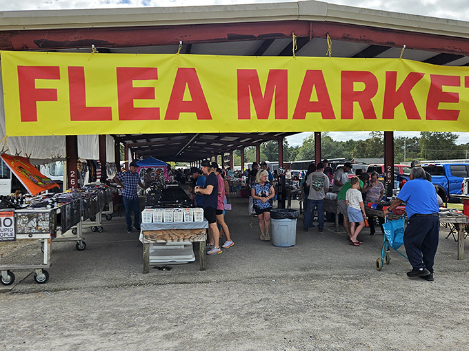 Coastal flea market magic where Gulf breezes make every bargain feel like vacation gold.
