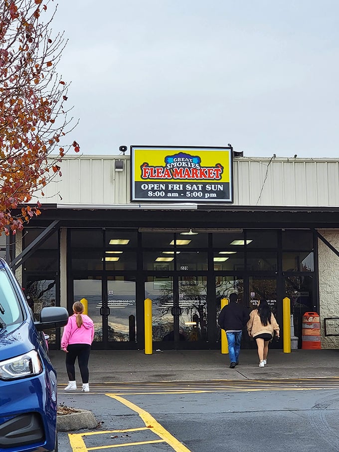 That cheerful yellow and blue sign promises indoor comfort while you hunt for amazing deals.