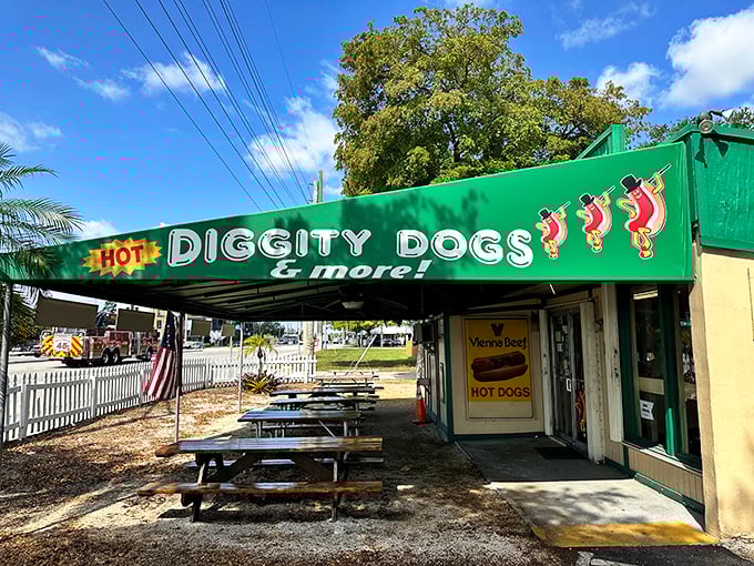 The green awning promises shade, but those cartoon hot dogs promise pure joy ahead.