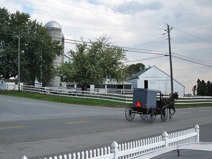 Now that's what I call horsepower! This traditional buggy proves the original hybrid vehicle is still going strong.