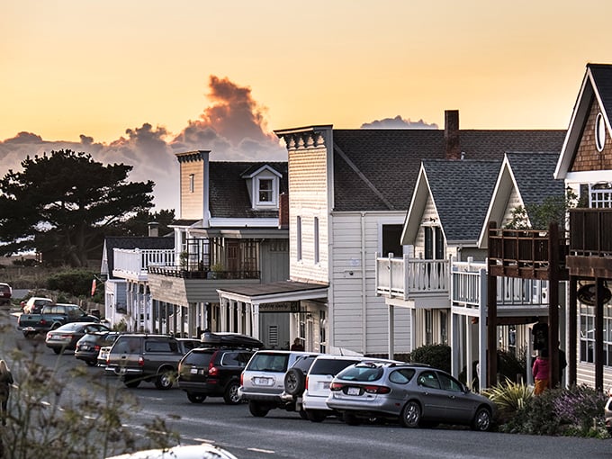 Mendocino's beauty hits you like that first sip of morning coffee—strong, invigorating, and absolutely necessary.