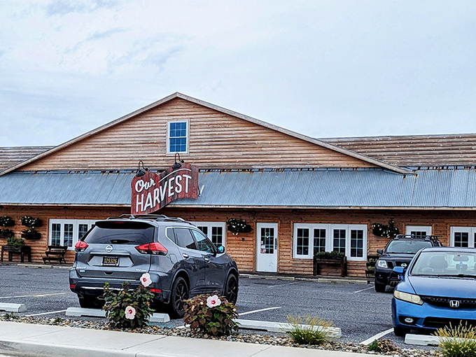 Our Harvest's rustic farmhouse charm makes you feel like family before you even taste dinner.
