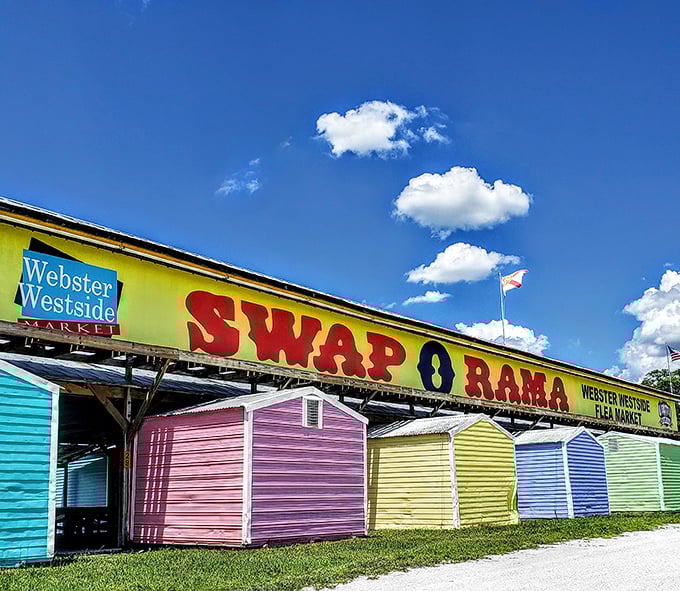Swap-O-Rama's rainbow-colored sheds create a cheerful landmark visible for miles. Skittles for buildings—taste the rainbow of deals!