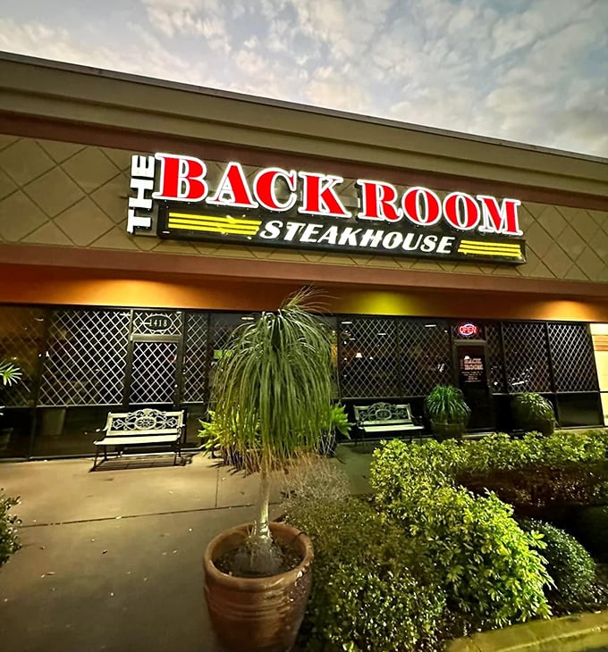 The Back Room's neon sign glows like a Vegas showgirl at dusk. Don't let the name fool you—this place is nobody's secret anymore.