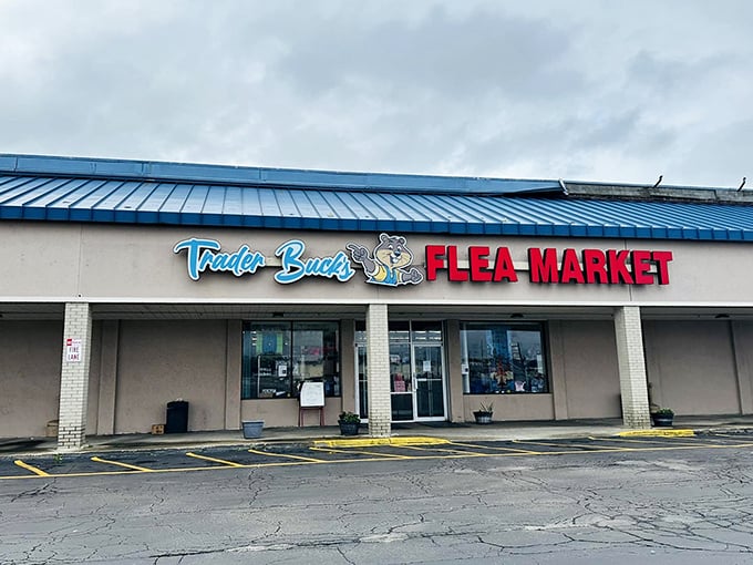 Trader Buck's blue-topped storefront stands ready for bargain hunters – retail therapy without the "retail" prices.