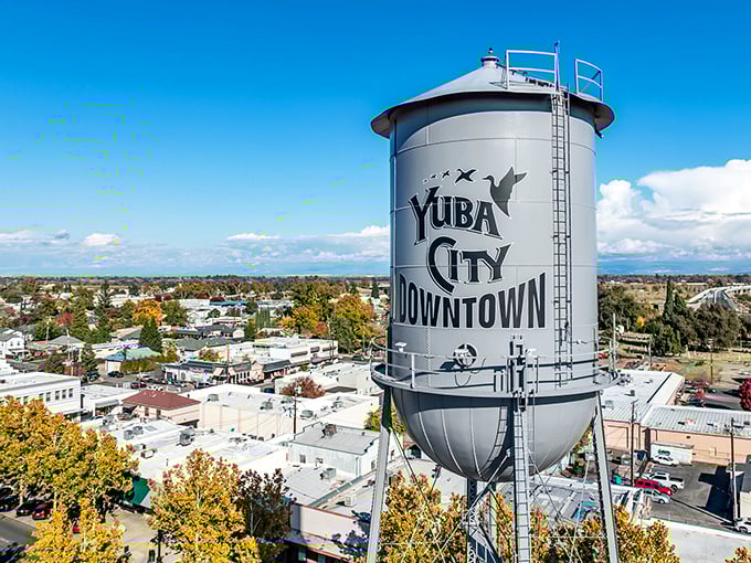 Yuba City's water tower stands like a proud parent watching over downtown—that goose silhouette isn't flying south for retirement!