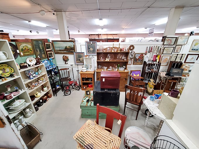 Clean, bright displays let every antique shine like the star it was meant to be.