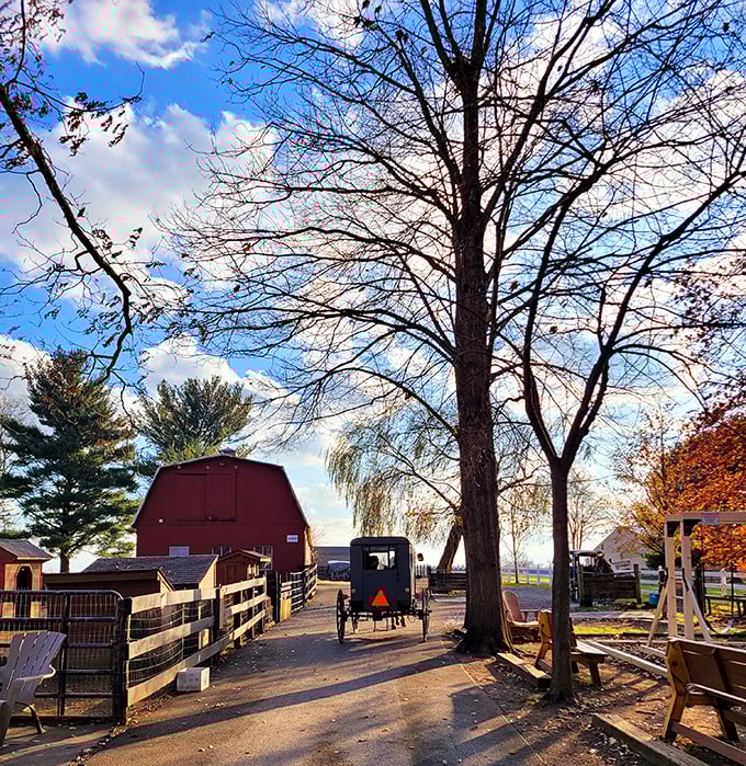 This red barn stands proud against autumn's backdrop, a testament to timeless American craftsmanship.