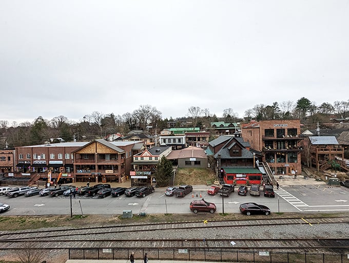 Blue Ridge's mountain backdrop makes even everyday errands feel like a vacation. Grocery shopping with a view!