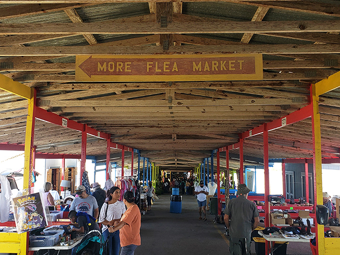 The organized chaos of a great flea market, where one person's clutter becomes another's perfect find.