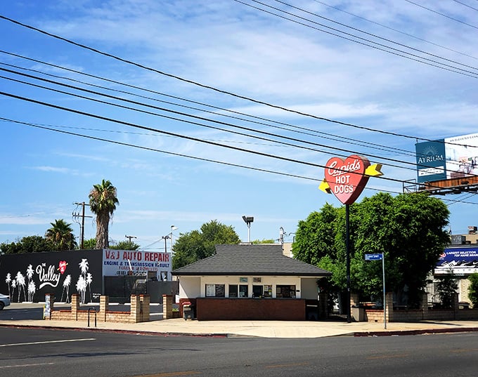 Sometimes the most unassuming corners hide the most extraordinary culinary gems waiting to be discovered.