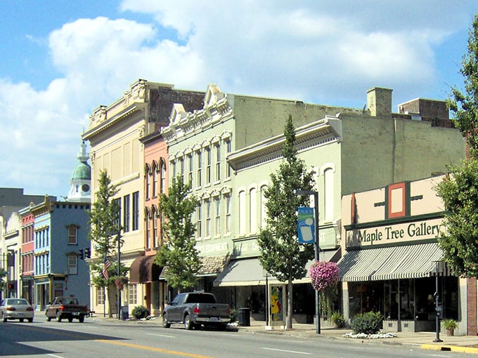 Danville's historic downtown buildings stand like colorful sentinels of affordability, housing shops where prices won't make you gasp.