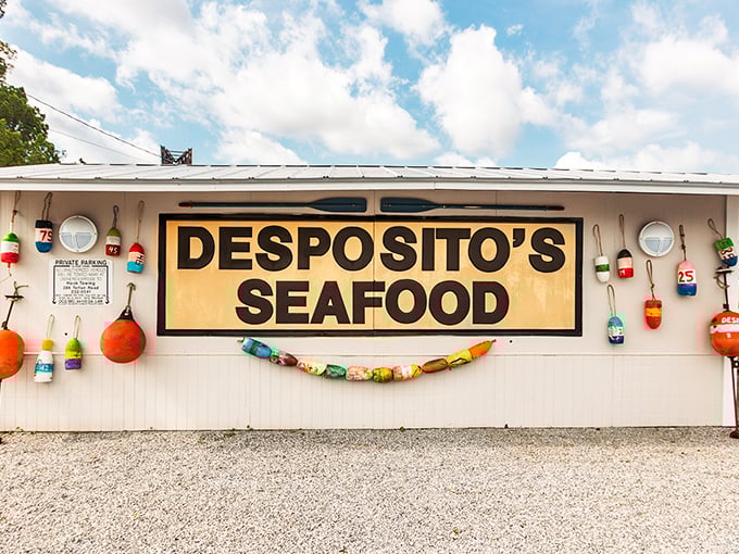 Those colorful buoys aren't just decoration – they're a promise of authentic coastal flavor. Seafood this fresh deserves a maritime salute!