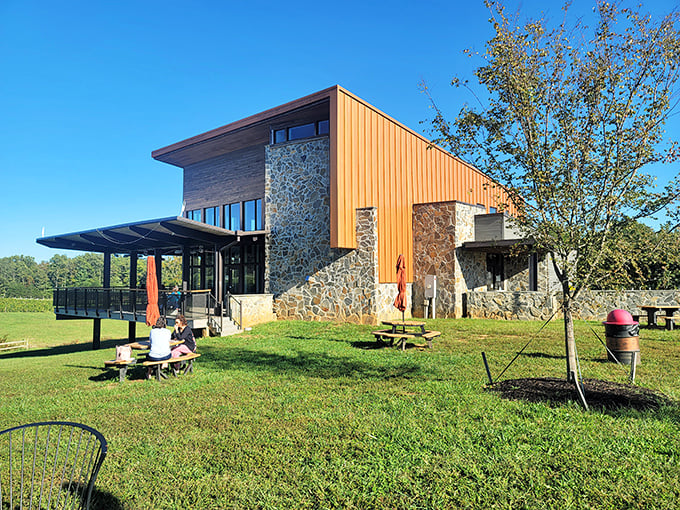 That serene pond isn't just for show – it's reflecting back all your good decisions, especially the one to visit this vineyard.
