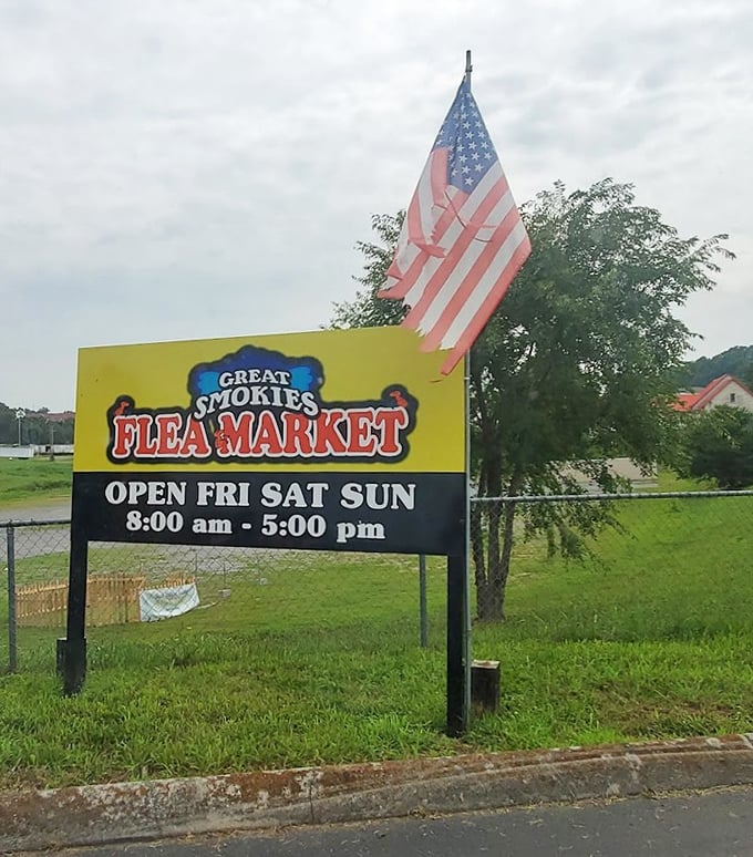 Stars, stripes, and serious shopping – this patriotic setup knows how to make bargain hunting feel downright American.