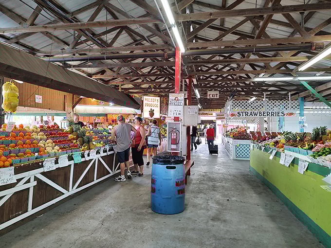 Where else can you buy tomorrow's dinner and yesterday's memories under one massive, welcoming roof?