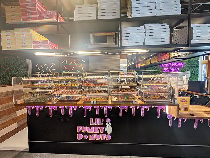 A modern donut wonderland where every shelf tells a different sweet story. Lil' Funky Donuts' sleek display cases showcase treats that look almost too pretty to eat—almost.