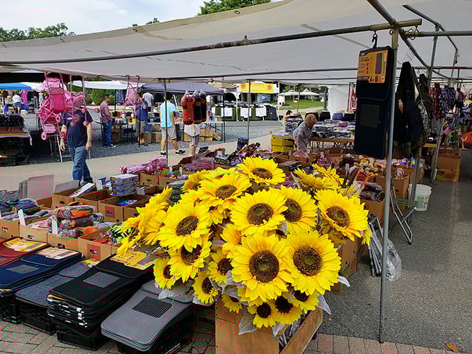 Fresh sunflowers brighten the hunt for hidden gems in this charming countryside treasure trove.