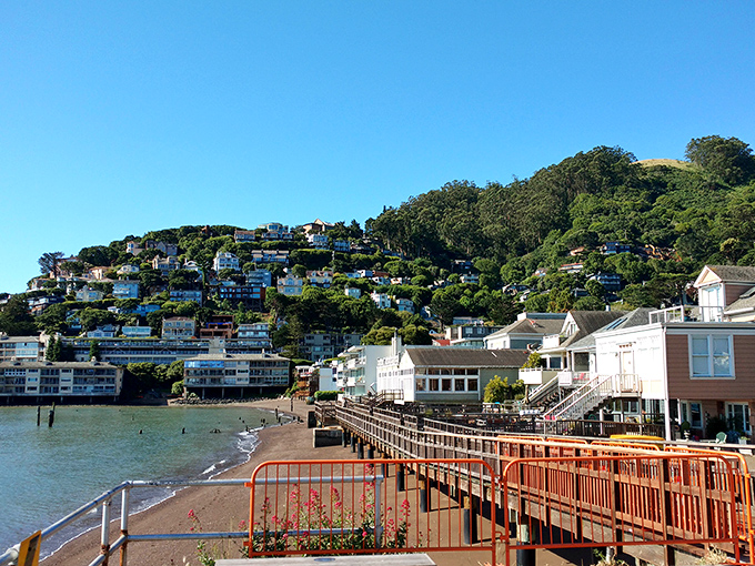 This waterfront boardwalk offers front-row seats to one of nature's most spectacular daily shows.