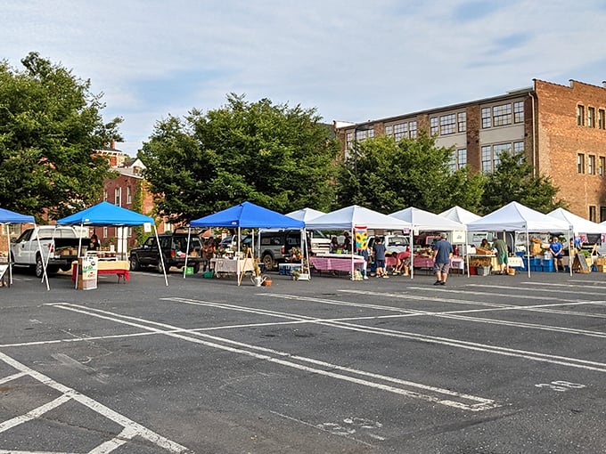 White tents bloom like flowers in downtown Staunton, creating a perfect Saturday morning shopping destination.