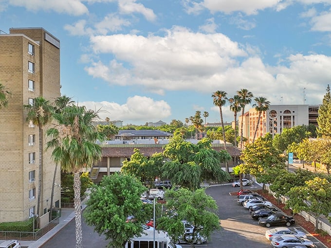 Those palm trees and waterways make Stockton look like Venice's laid-back California cousin.