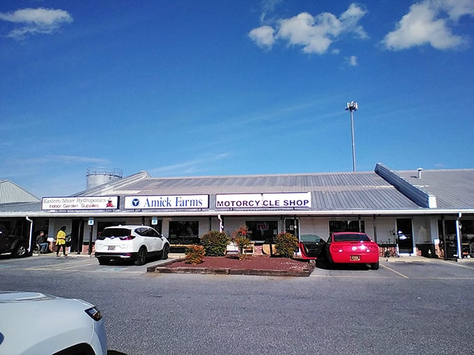 The simple storefront masks an indoor adventure where every corner promises another amazing find at unbeatable prices.
