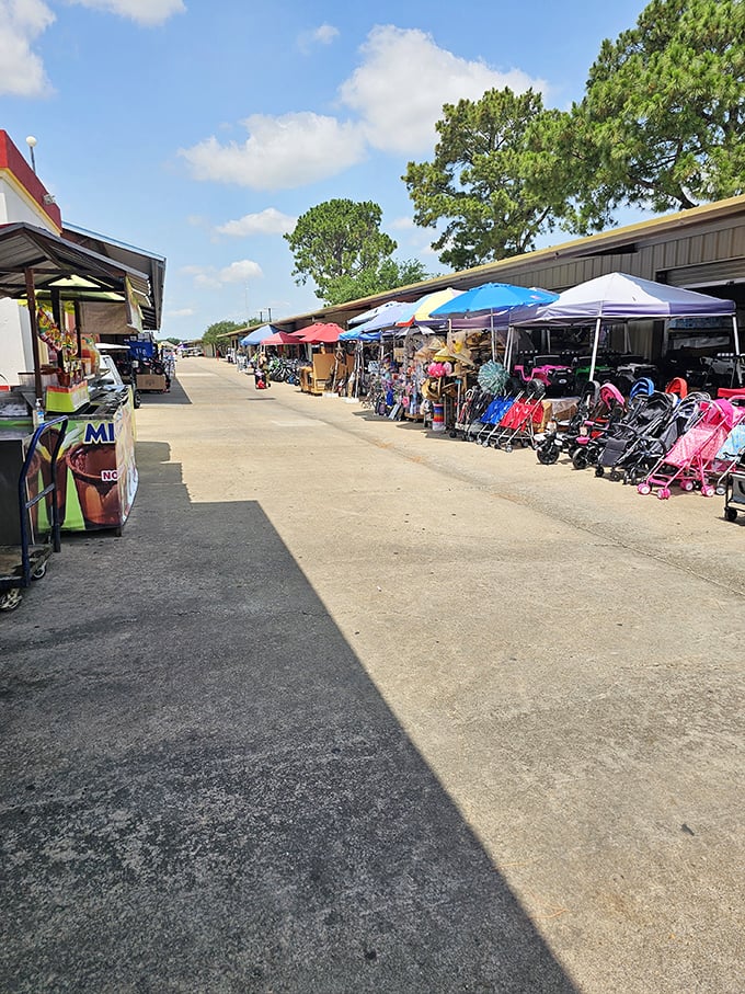 Strollers, shoppers, and treasures as far as the eye can see. Traders Village Houston is a bargain hunter's paradise under the Texas sun.