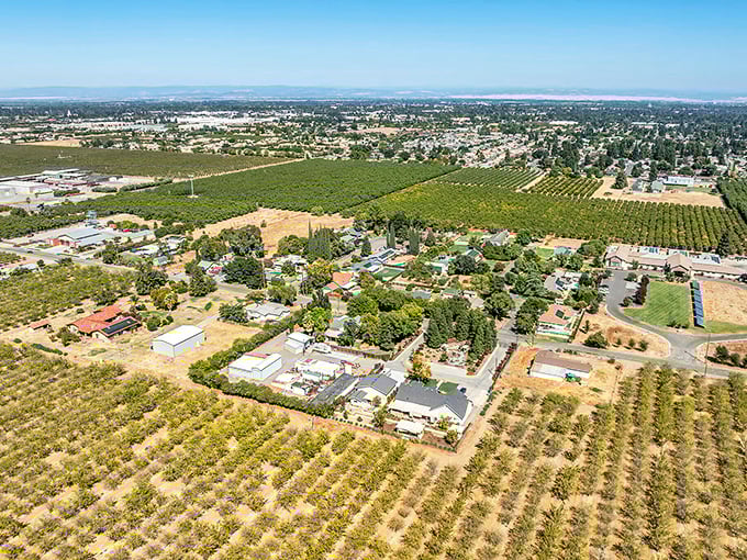 From above, Yuba City reveals its perfect balance—where backyard pools meet orchard rows in a delicious California contradiction.