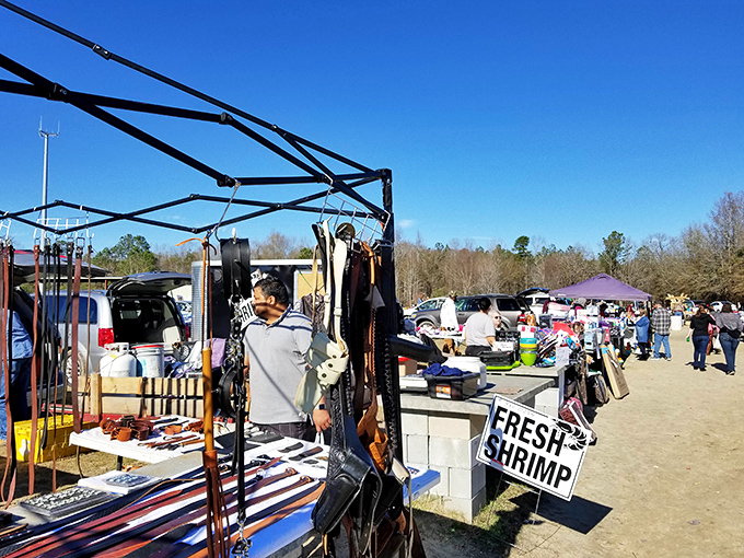 Fresh Shrimp signs neighbor fishing gear and household goods—proof that at Florence Flea Market, you never know what might be around the next corner.