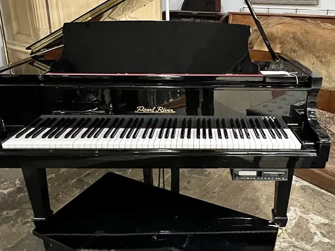 Not just a piano – a conversation piece that says, "Yes, I could have been a concert pianist, but chose to watch Netflix instead."