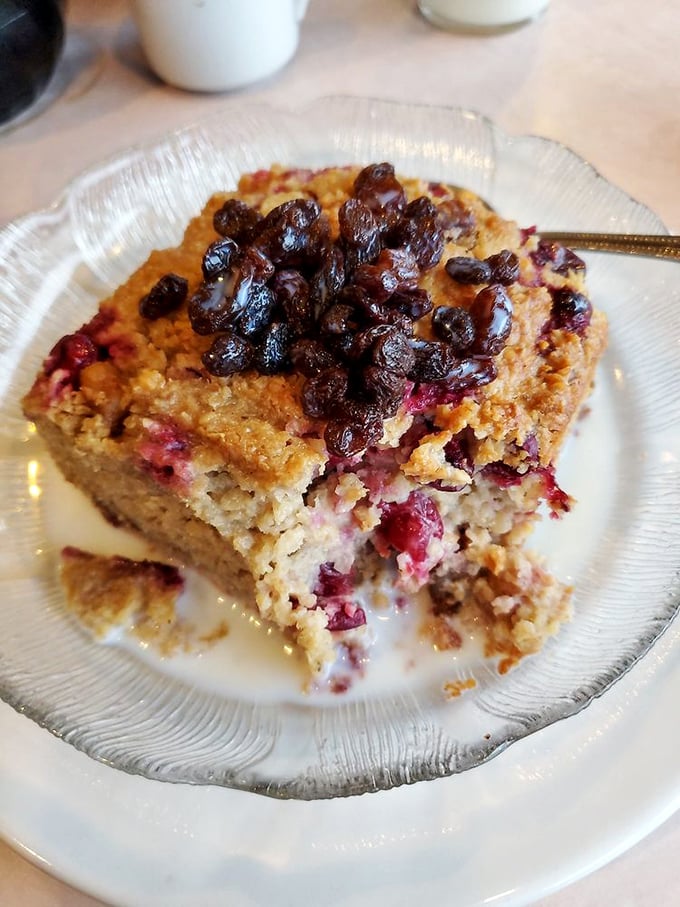 The legendary cranberry baked oatmeal in its natural habitat. Not your grandma's mushy breakfast—this is oatmeal that's had a life-changing makeover and found its true calling.