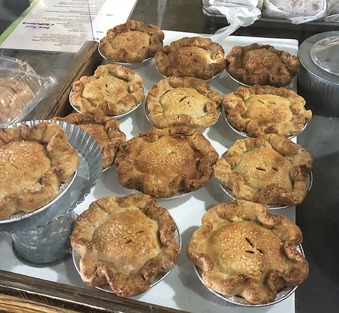 Golden-brown pot pies lined up like soldiers ready for delicious duty—each one a fortress of flaky pastry protecting treasures within.