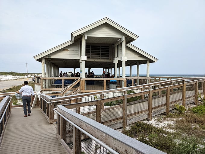 This beachside pavilion isn't just a shelter—it's front-row seating to the greatest show on earth: the Gulf of Mexico.