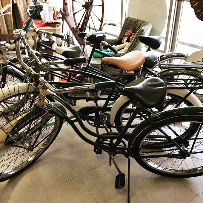 Vintage bicycles that have stories to tell—each pedal stroke a journey through time. Schwinn there, done that!
