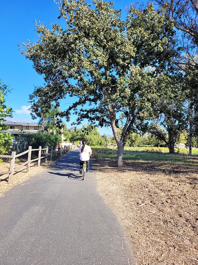 Biking the Ojai Valley Trail under ancient oaks—where the only traffic jam is when you pause to decide which view deserves a photo first.