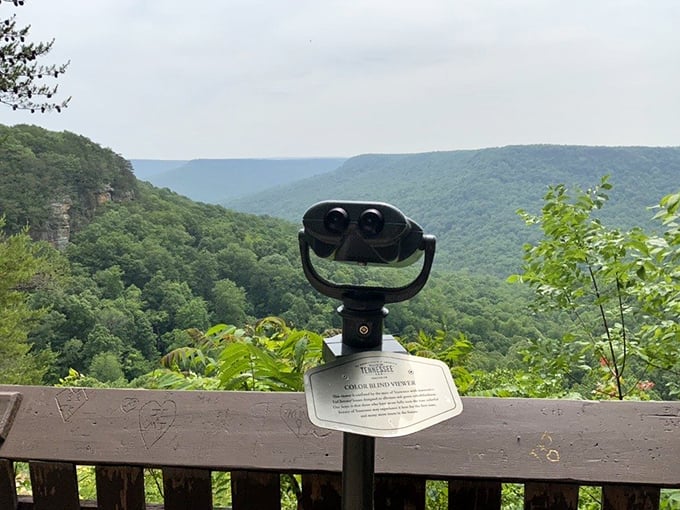 "For a quarter, see forever." These viewfinders offer the best bargain in Tennessee—panoramic vistas that stretch to tomorrow across the undulating Cumberland Plateau.