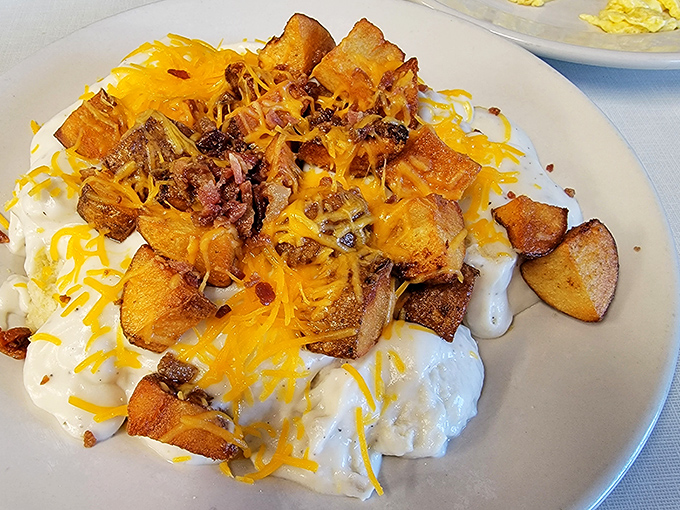 This isn't just biscuits and gravy—it's a masterpiece of comfort food architecture with potatoes, cheese, and bacon forming a delicious skyline.