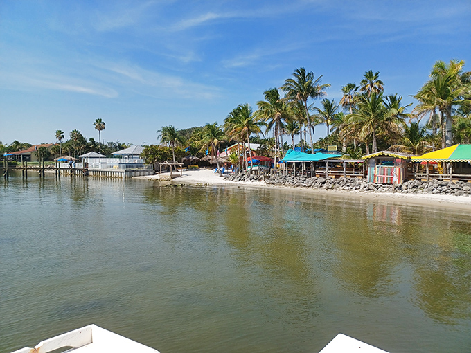 At Blackfins, paradise comes with umbrellas – both in your tropical drink and shading your waterfront table where the Indian River Lagoon provides dinner theater.