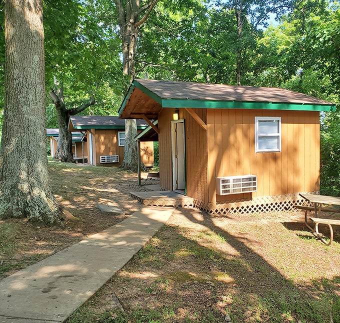 Cozy cabin life meets modern comfort, proving roughing it doesn't mean suffering through it anymore.
