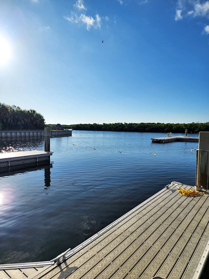 Calm waters and clear skies at Dunedin's marina—where boats bob gently and time seems to slow to the rhythm of the tides.